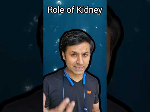 Function of Kidney | #kidney #shorts #viral #health