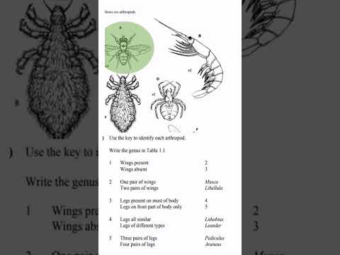 Using a dichotomous key #biology