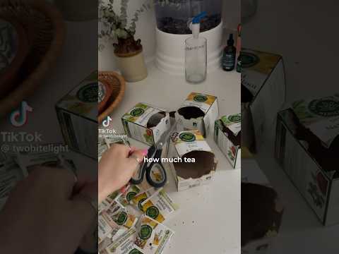 Why you shouldn’t drink tea bags