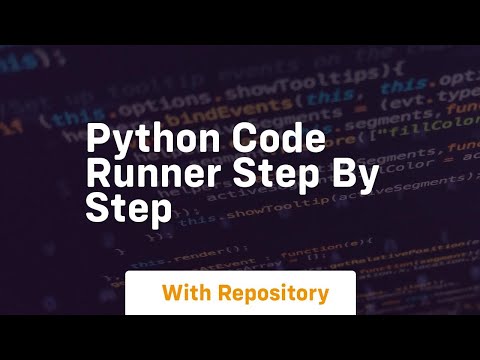 python code runner step by step