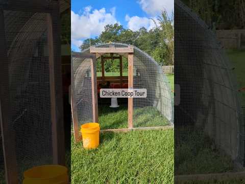 Moveable Chicken Coop Tour 🐔🐣 #chickentractor #freerangechickens #homesteading #chickencoop