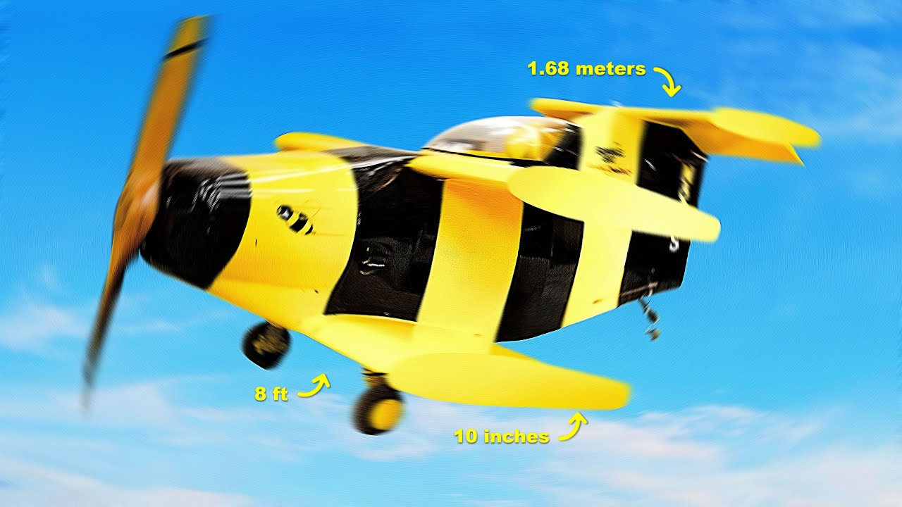 The Smallest Plane Ever Built