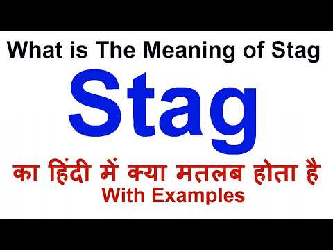 Stag Meaning in Hindi | Stag Definition | Stag Ka Matlab Kya Hota Hai | Stag in Hindi