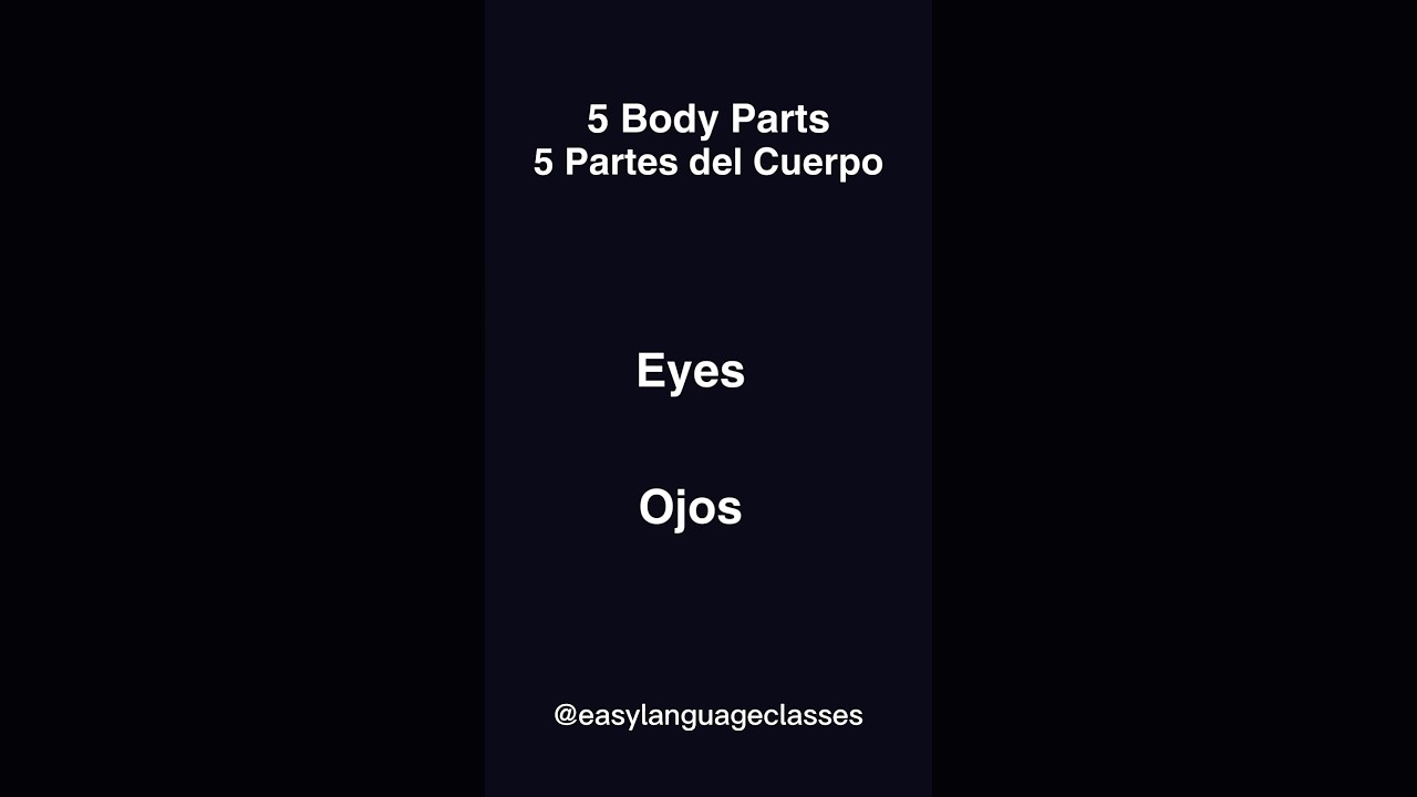 5 Partes de Cuerpo