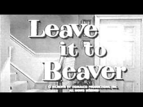 LEAVE IT TO BEAVER Season 2 (Part 1) Review (1958-1959) Schlockmeisters TV #17