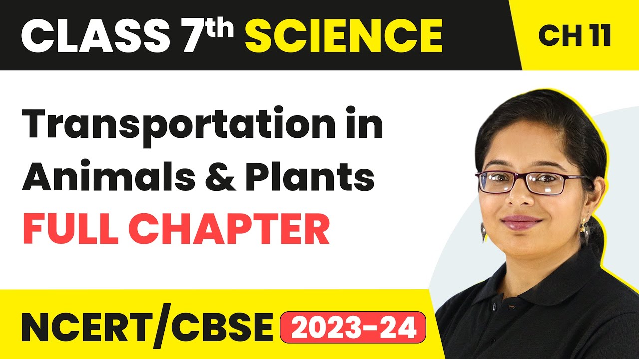 Transportation in Animals and Plants Full Chapter Class 7 Science | NCERT Science Class 7 Chapter 11