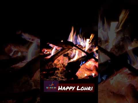 #ytshorts #youtubeshorts #shorts Happy Lohri 2022 whatsApp status #shortslohri #lohrispecial