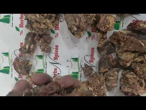 Indian Gum - Gum Ghatti Latest Price, Manufacturers & Suppliers