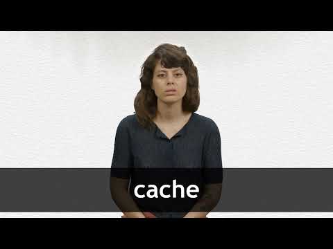 English Translation of “CACHE” | Collins French-English Dictionary