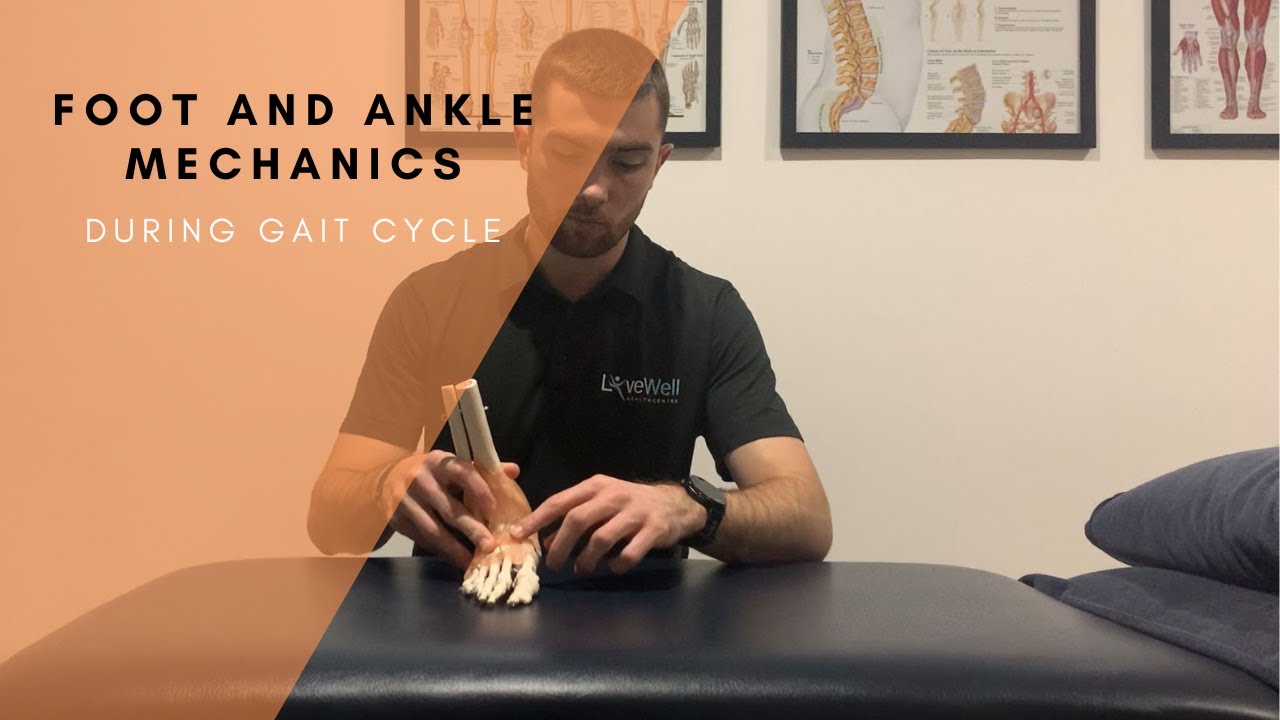 Foot & Ankle Mechanics During Gait Cycle & Functional Movements