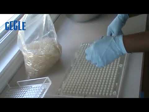 400 Holes Capsule Filling Machine Operating video