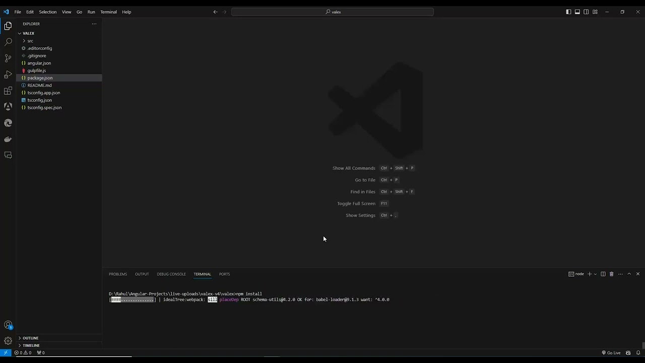 Installation Process Of  Valex – Premium Angular Admin Template