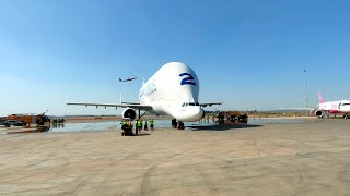 Beluga ST: conhecemos o icônico avião de cargas de perto; veja como ele ...