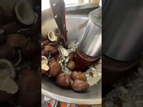 How to Make coconut oil (cold pressed | Wood press | Wooden Cold Pressed | Wood cold press)
