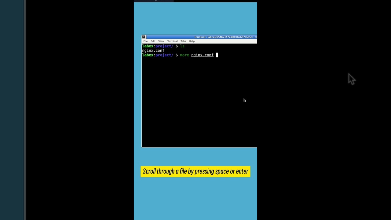 Practice Linux Commands 05 - more #commandline #linuxcommands #linux #learnlinux