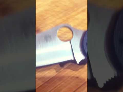 Spyderco Paramilitary 2! Blade crack!🤯🤔 Anyone else have this happen?? CPM S110V #spyderco #S110V