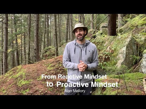 Proactive vs. Reactive Mindset