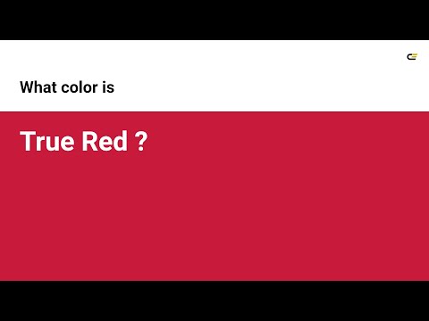 True Red color #c81a3a hex color - Red color - Cool color c81a3a
