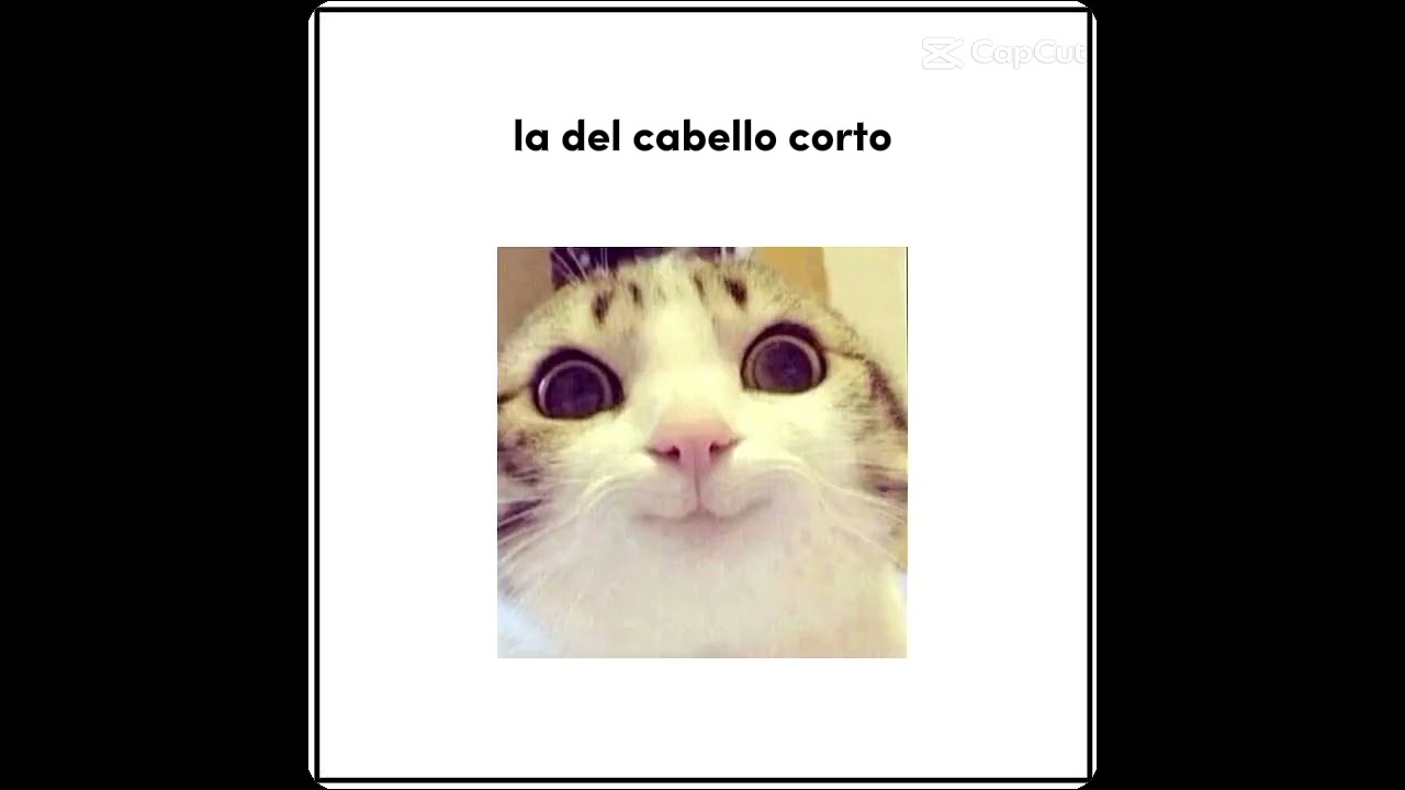 somos jaja