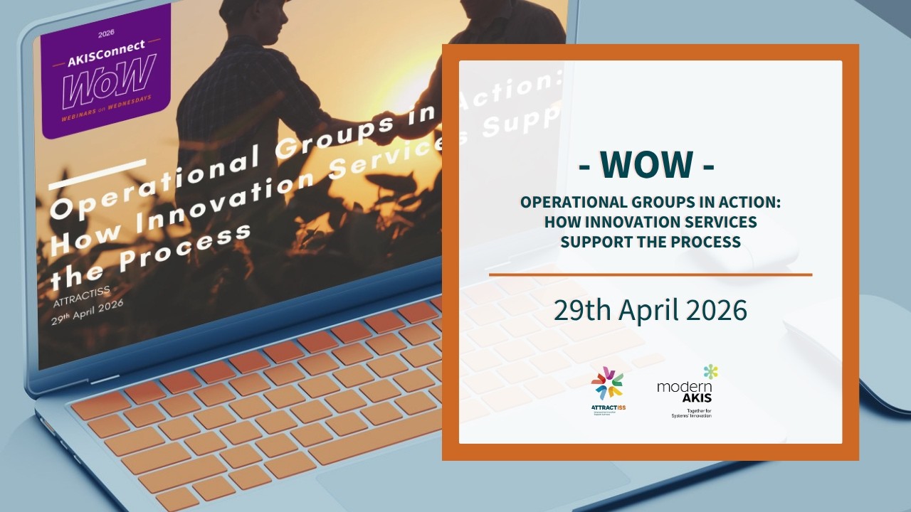 WoW - Operational Groups in Action: How Innovation Services Support the Process