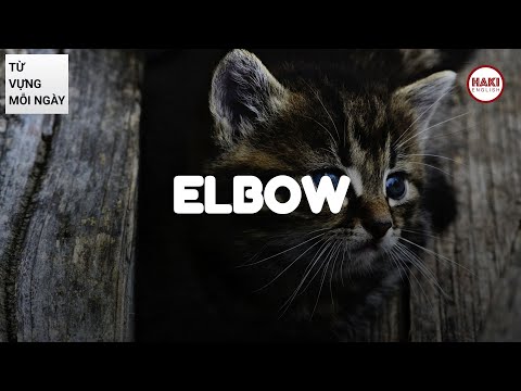 ELBOW | Phát âm - Giải nghĩa - Ví dụ | Từ vựng tiếng Anh