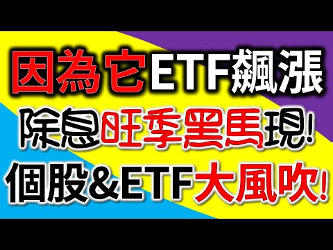 ETF0056、00878、00900、00915、00919、00701、00713、00731！除息旺季PK高配息！因為它成份股漲很大！【7月報表－CC字幕】｜我們這一家 - 理財板 ...