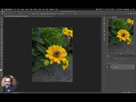Resizing and cropping an image to print on a 4x6  printer