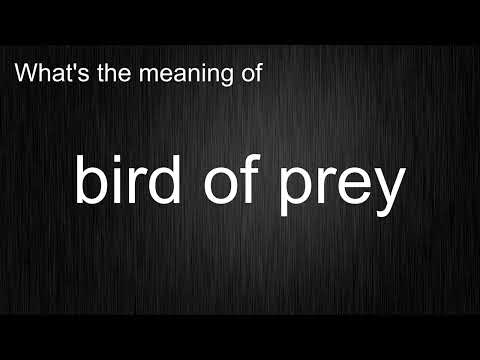 What's the meaning of "bird of prey", How to pronounce bird of prey?
