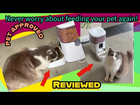 Javiscam Smart Cat Feeder unboxing and Review 🐱📷 | 2K Camera, Auto Feeding & AI Pet Monitoring!