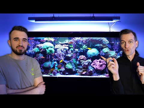 Flo besucht Flo - 900 Liter MEERWASSERAQUARIUM *PlanktonPlus Aquaristik*