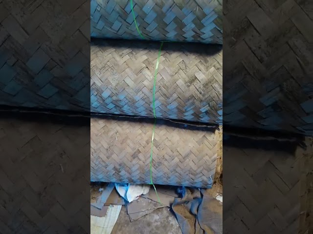 Bamboo Mat - Bamboo Chatai Mat Trader - Retailer from Sehore