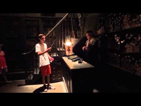 Ollivanders™ Wand Shop in The Wizarding World of Harry Potter™