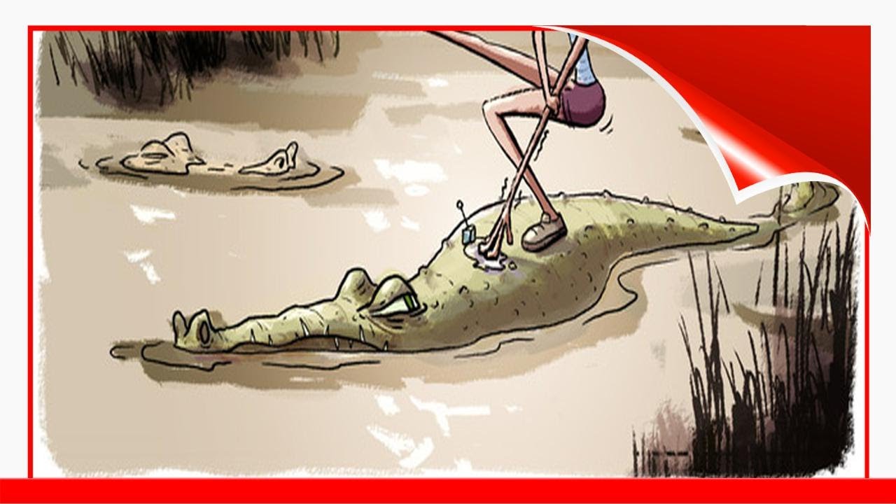 26 Scientists Reveal Their Most Embarrassing Fieldwork Fails, And ItS Hilarious 🥰