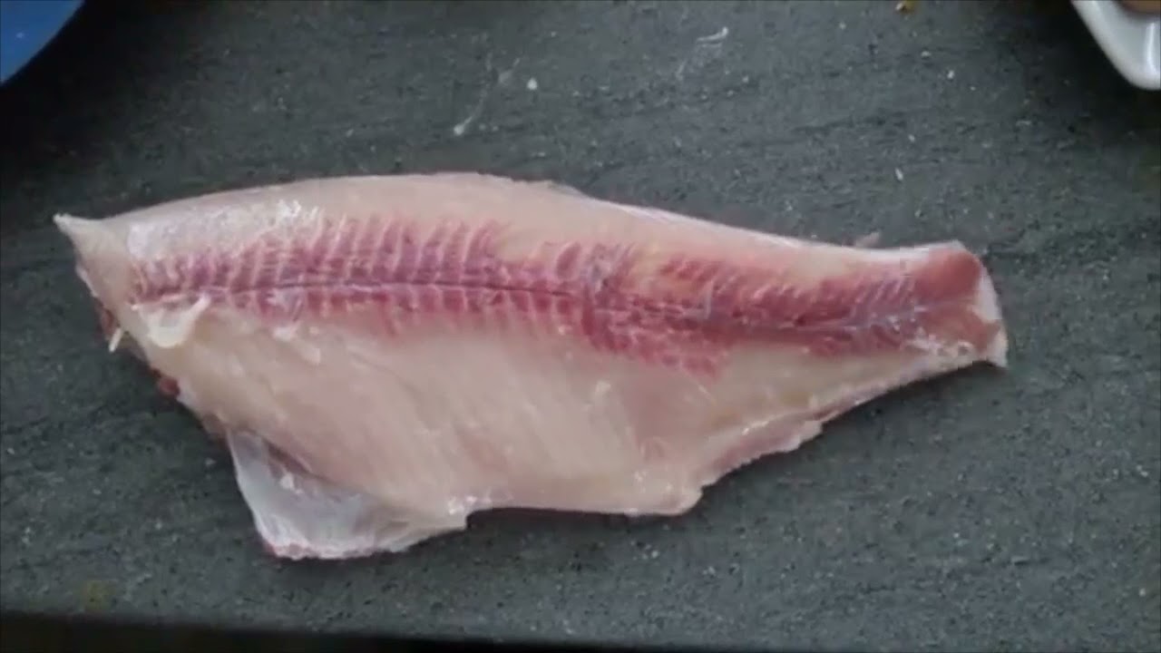 Dead meat still moving (Compilation)