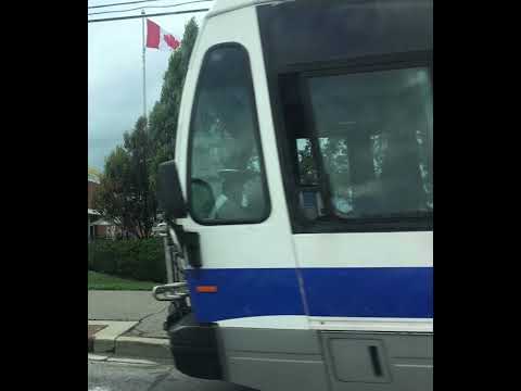 Brampton Transit External - Route 3 McLaughlin Northbound to Heart Lake Terminal