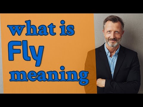 Fly | Meaning of fly