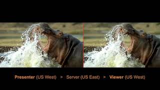 TurboMeeting Software - 2025 Reviews, Pricing & Demo