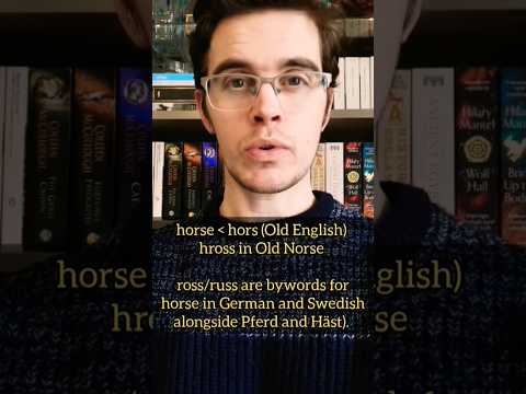 More horse-etymology