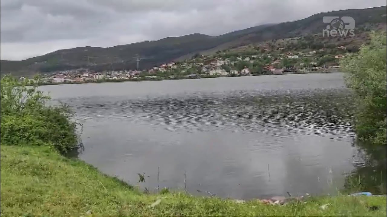 Top News/ Tragjedi në Përrenjas. 58-vjeçari hyn në ujin e rezervuarit ... Top News/ Tragjedi në Përrenjas. 58-vjeçari hyn në ujin e rezervuarit ...