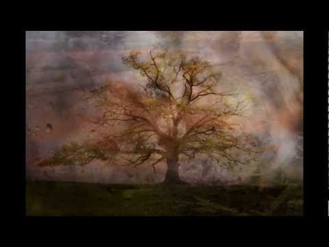 A family tree ... sort of