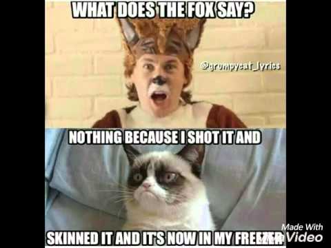 GrumpyCat Memes