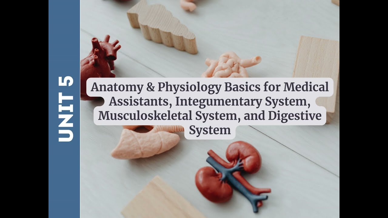 Unit 5 | A&P Basics, Integumentary, Musculoskeletal, Gastrointestinal Systems | CCMA Exam Prep