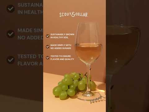 All About Clean-Crafted™ Wine 🍇