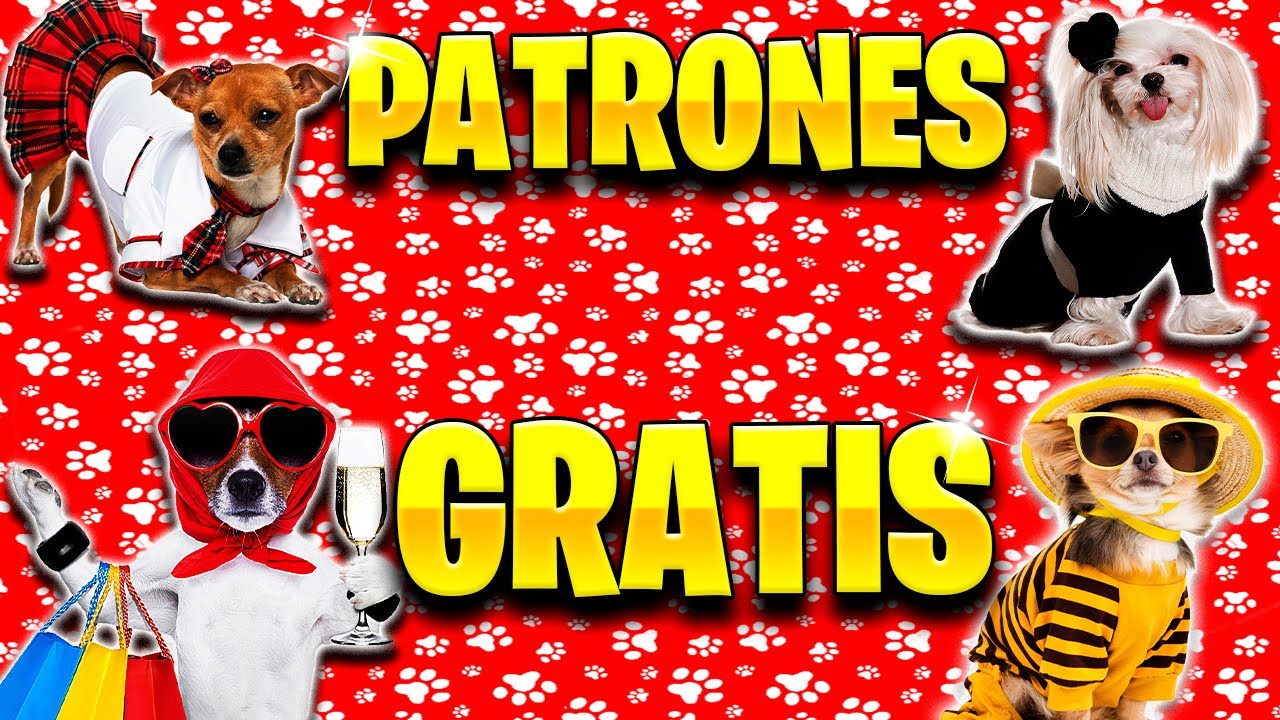 🐶COMO HACER ROPA para PERROS EN CASA 🐶 | PATRONES MOLDES PARA PERROS GRATIS | THUMBNAILS FOR YOUTUBE