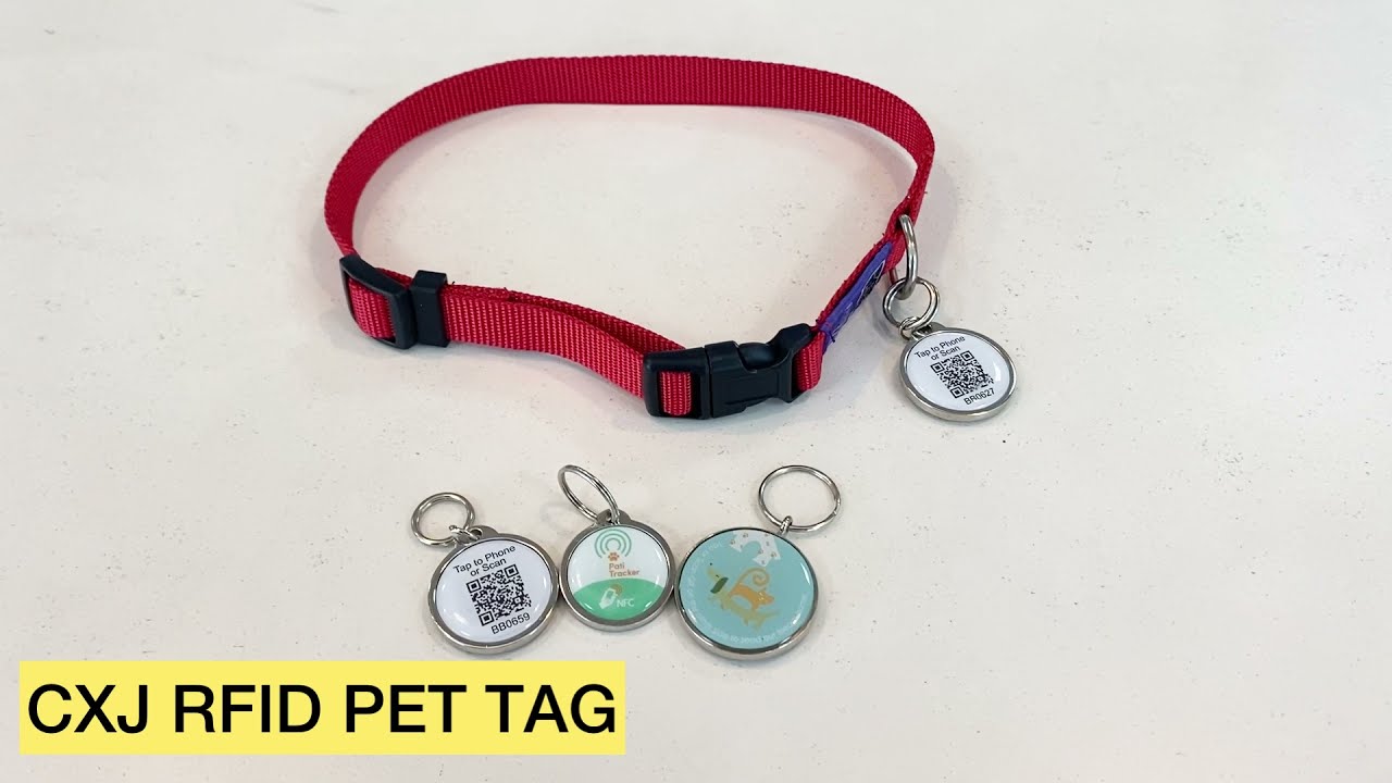 Pet Collar Unique QR Code Anti-Lost nfc Tracking Epoxy Pet Tag — CXJ RFID Pet Tag Supplier