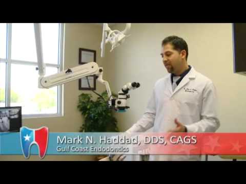 Gulf Coast Endodontics Office Tour