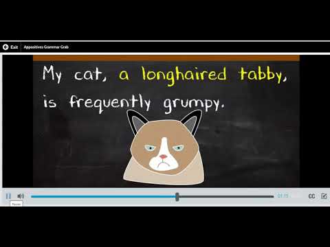 Appositives Grammar Grab