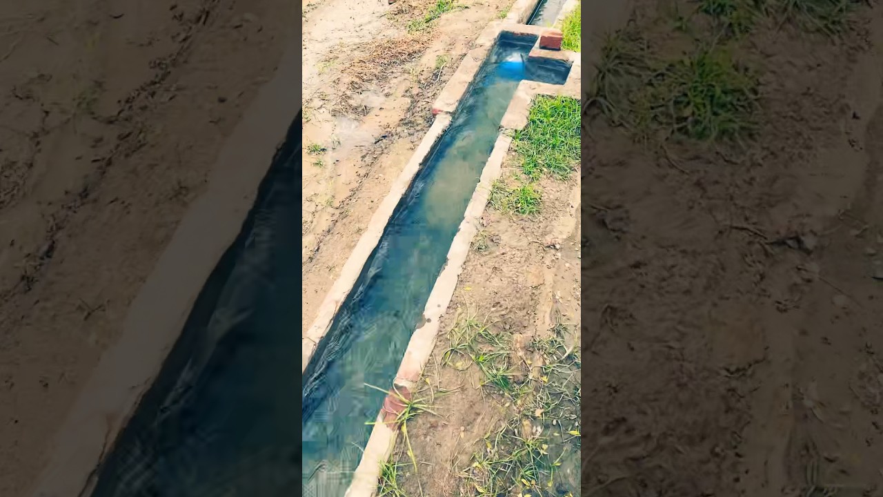 Irrigation System #farming #water #irrigation #youtubeshorts #shorts #new #viral