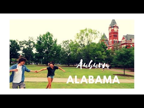 WOW air Travel Guide Application // AUBURN, ALABAMA