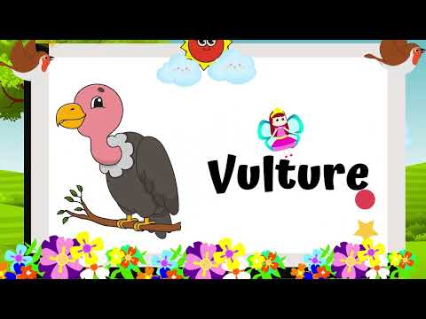 20 Word That Start With Letter Vv | V Letter Vocabulary | English Vocabulary For Kids